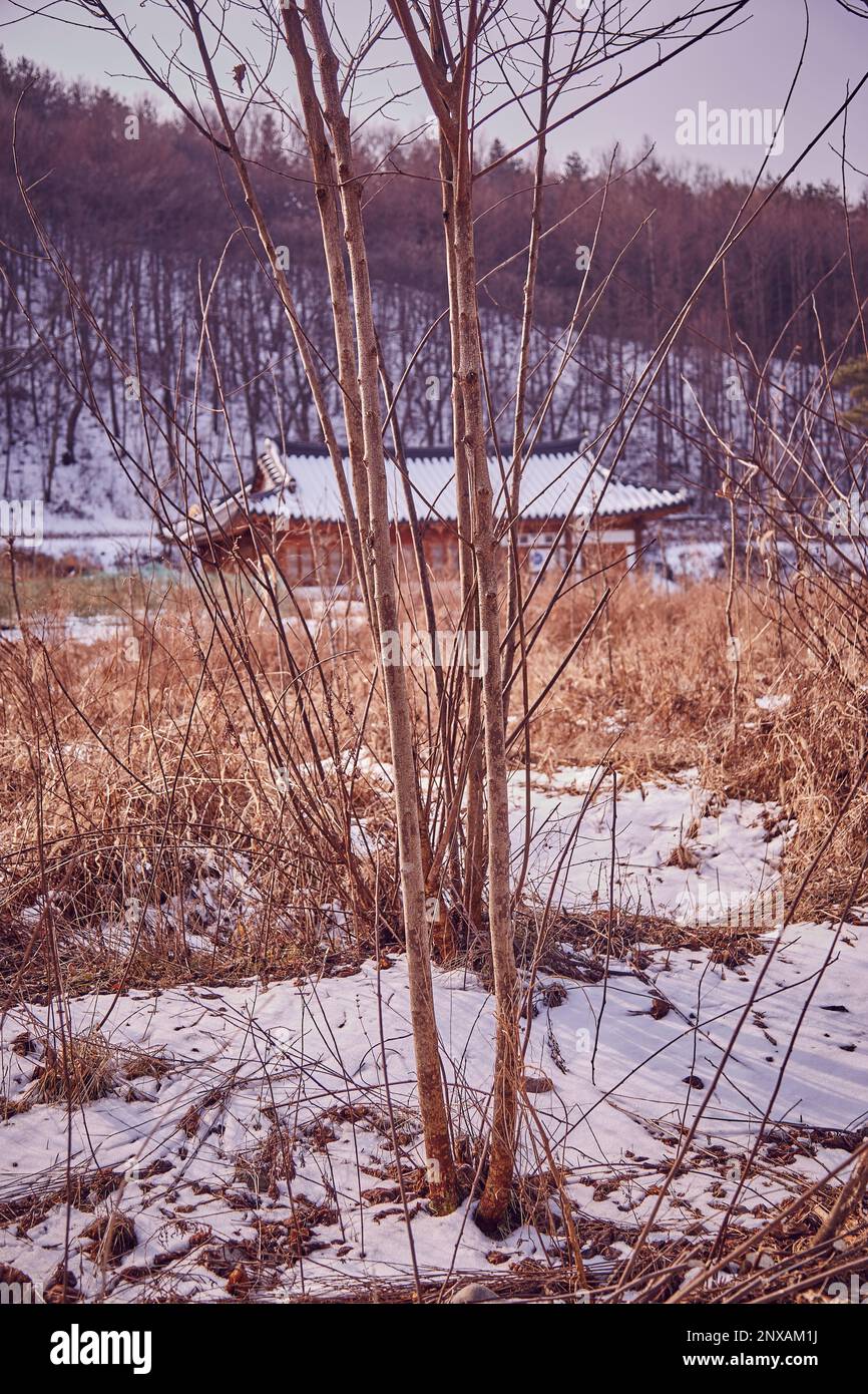 Hanji, traditional Korean paper, paper doll handmade from mulberry ...