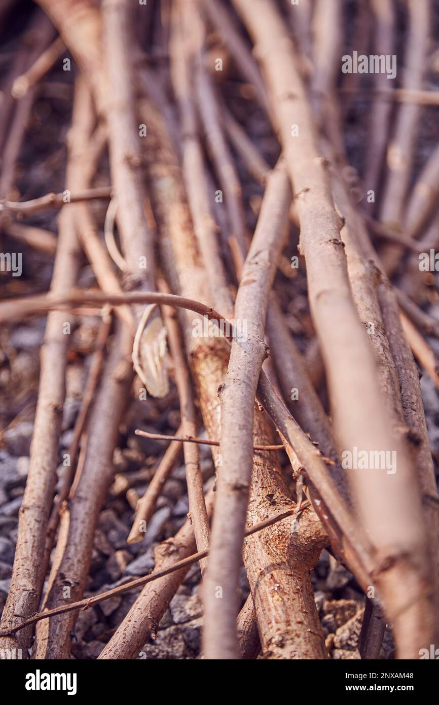 Hanji, traditional Korean paper, paper doll handmade from mulberry ...