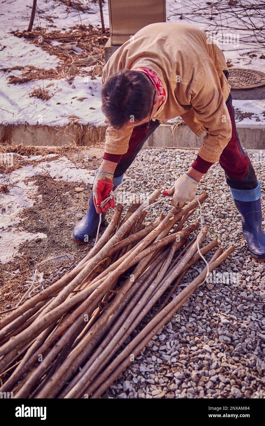 Hanji, traditional Korean paper, paper doll handmade from mulberry ...