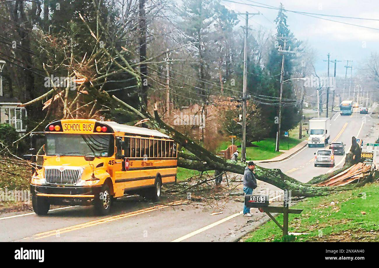 High winds blew a tree onto a school bus carrying students along Mount ...