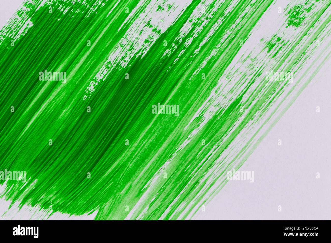 acrylic green paint texture background hand made brush on paper Stock ...