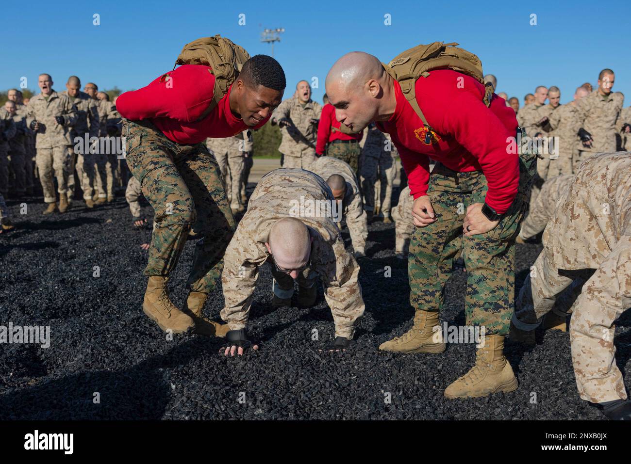 U.S. Marine Corps drill instructors with Alpha Company, 1st Recruit ...
