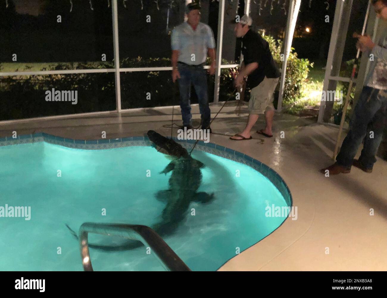 In this photo provided by Sarasota County Sheriff’s Office, authorities ...