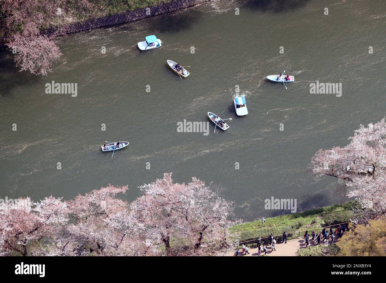 An aerial photo shows Chidori-ga-fuchi Moat covered with cherry ...