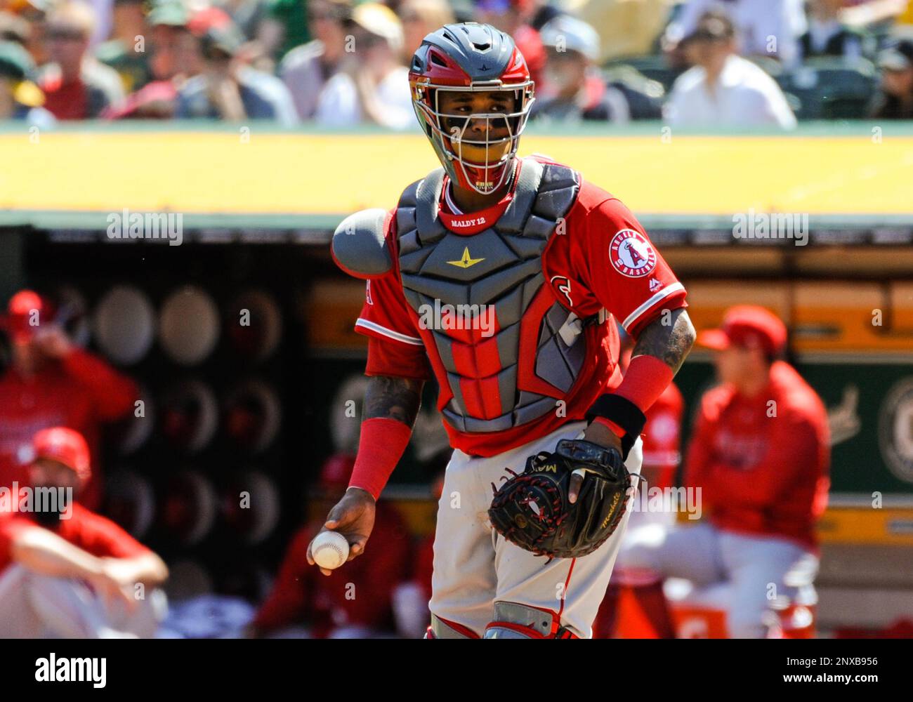 OAKLAND, CA - MARCH 29: Los Angeles Angels catcher Martin Maldonado (12 ...