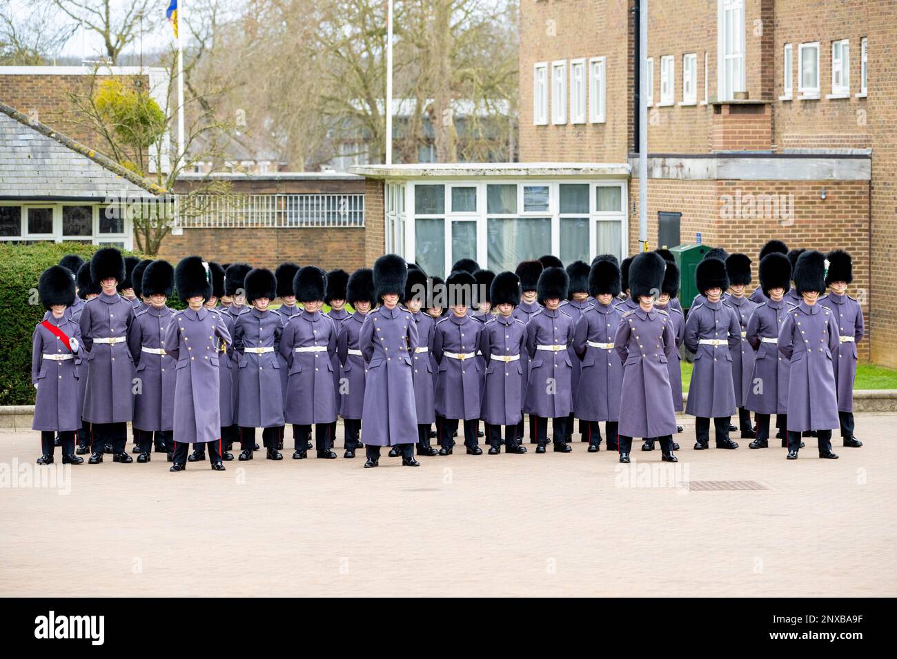 Welsh guards during a visit to the 1st Battalion Welsh Guards on to ...