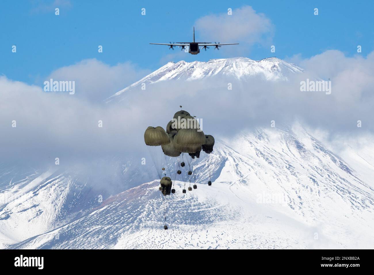 Japan Ground Self-Defense Force's heavy containerized delivery system ...