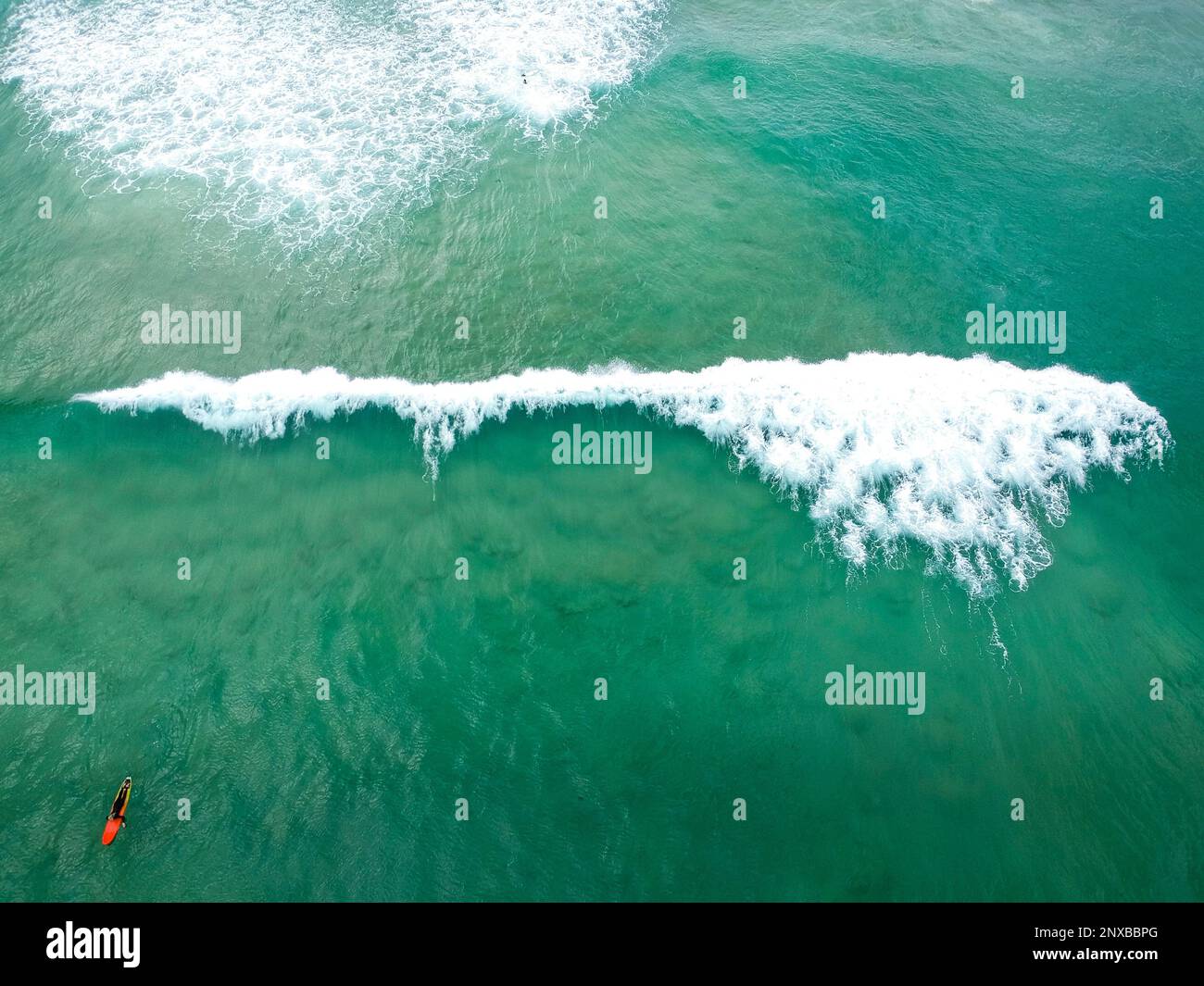 Aerial view of a surfer lying on a surfboard waiting for a wave, Bondi ...