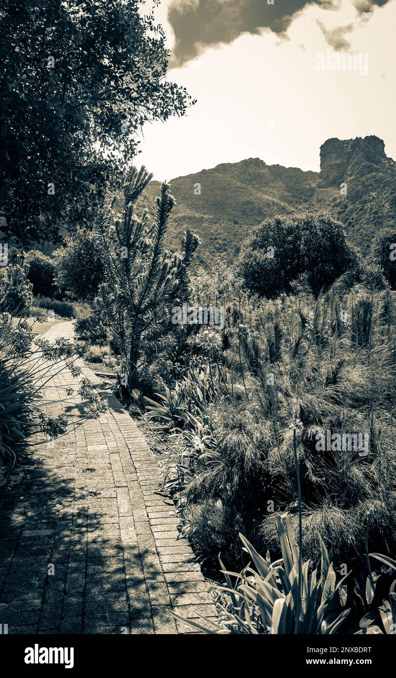 Trail Walking path in Kirstenbosch National Botanical Garden, Cape Town ...