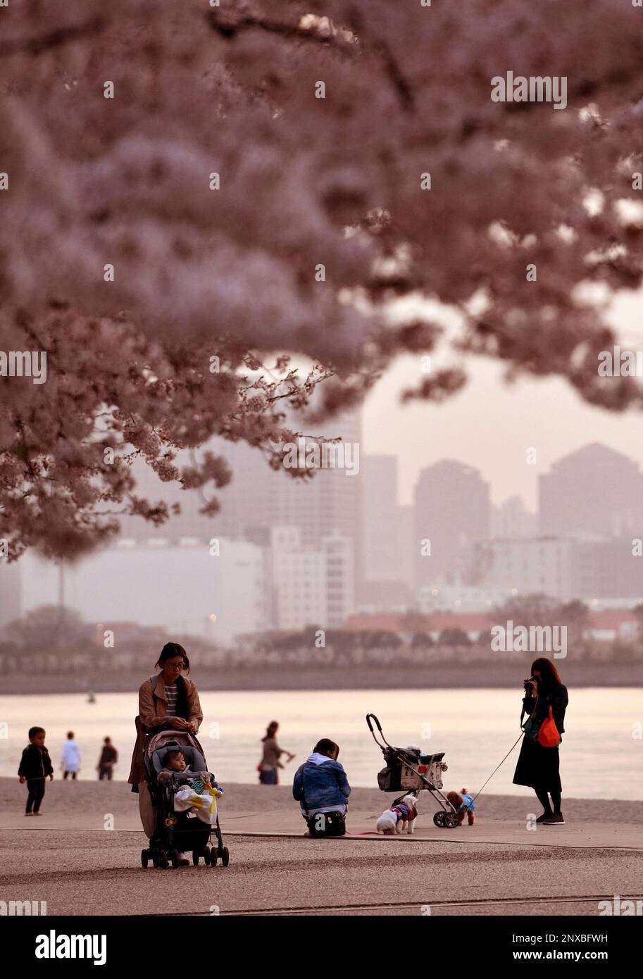 This photo is the seashore at Odaiba district in Minato Ward, Tokyo on ...