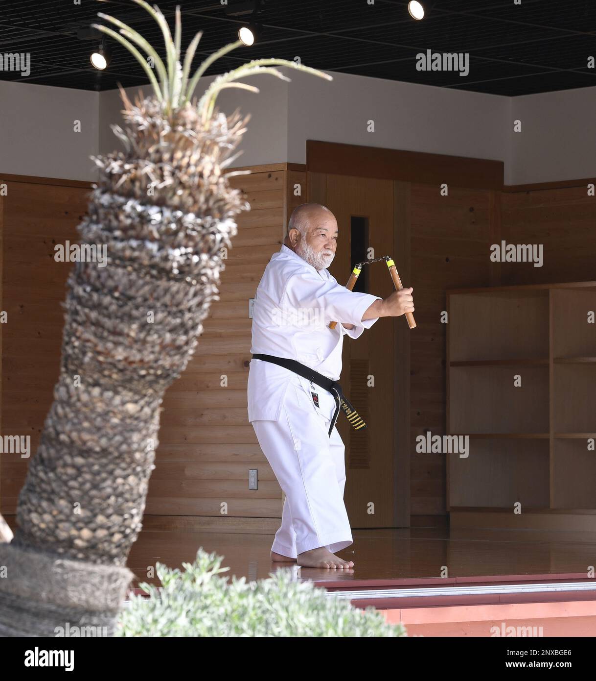 A man performs Karate as Japan's Emperor Akihito and Empress Michiko ...