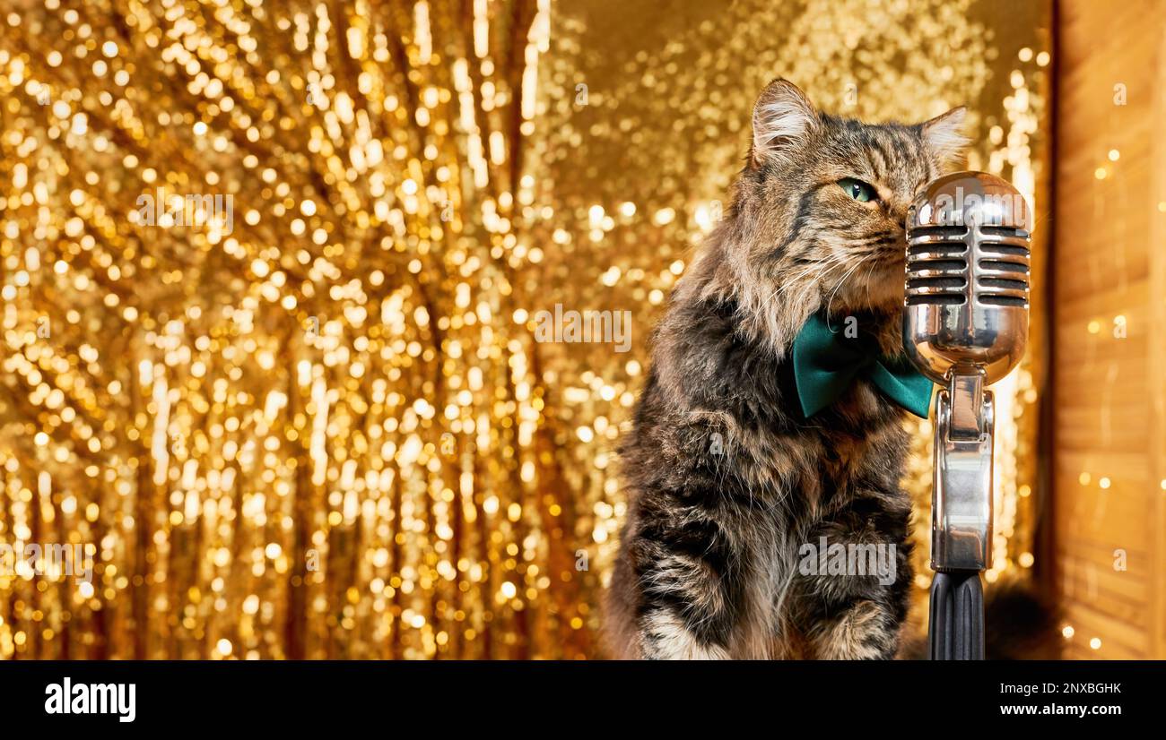 Cats Singing Karaoke
