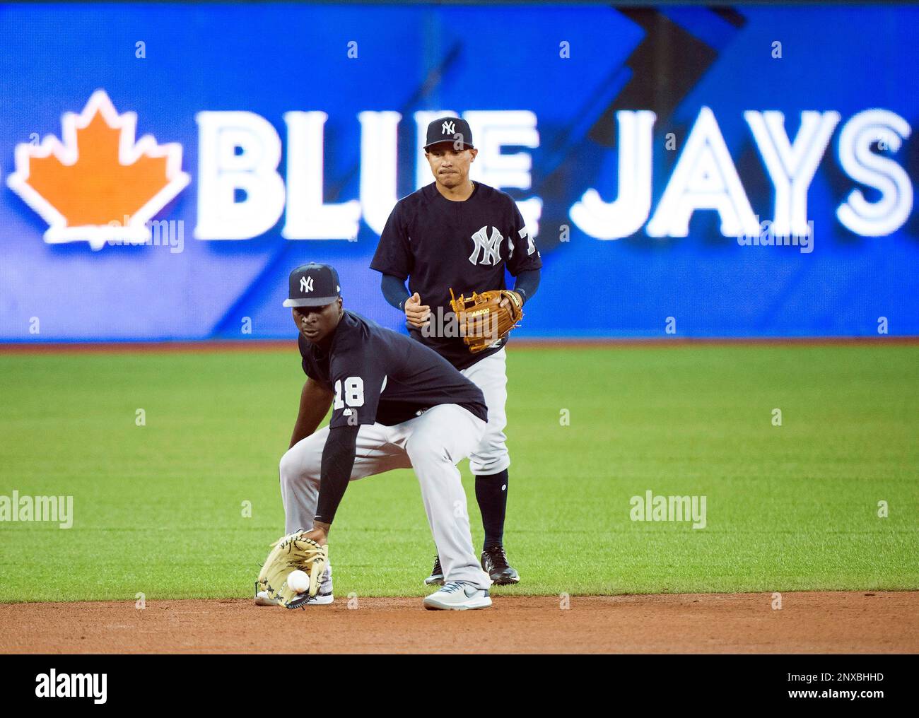 New York Yankees shortstop Didi Gregorius (18) fields a ground ball ...