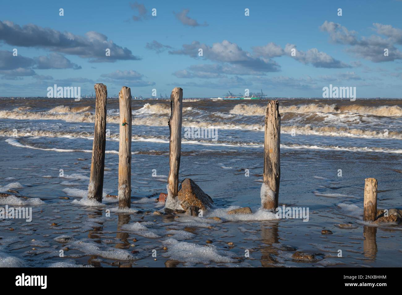 Wooden poles on a beach in Walton on the Naze in Essex. Winter scenery ...