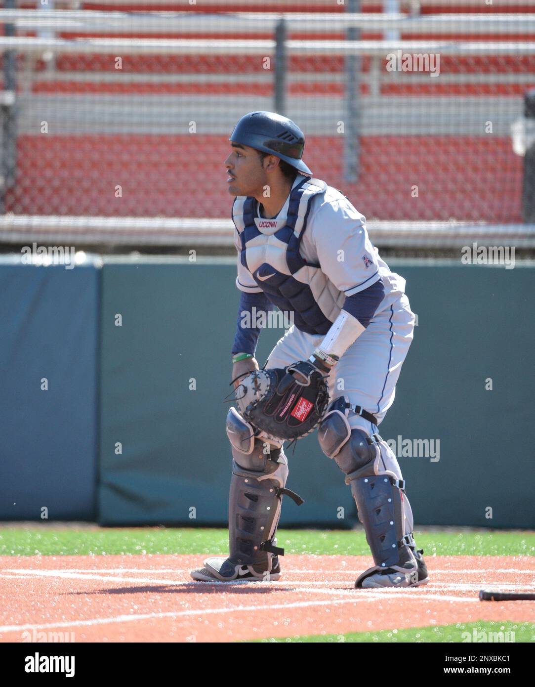 University of Connecticut Huskies catcher Thad Phillips (30) during ...