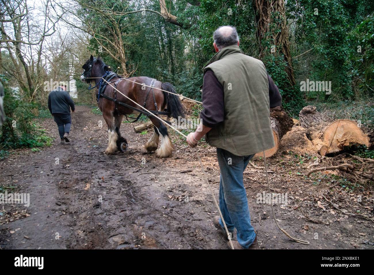 Dead centaur hi-res stock photography and images - Alamy