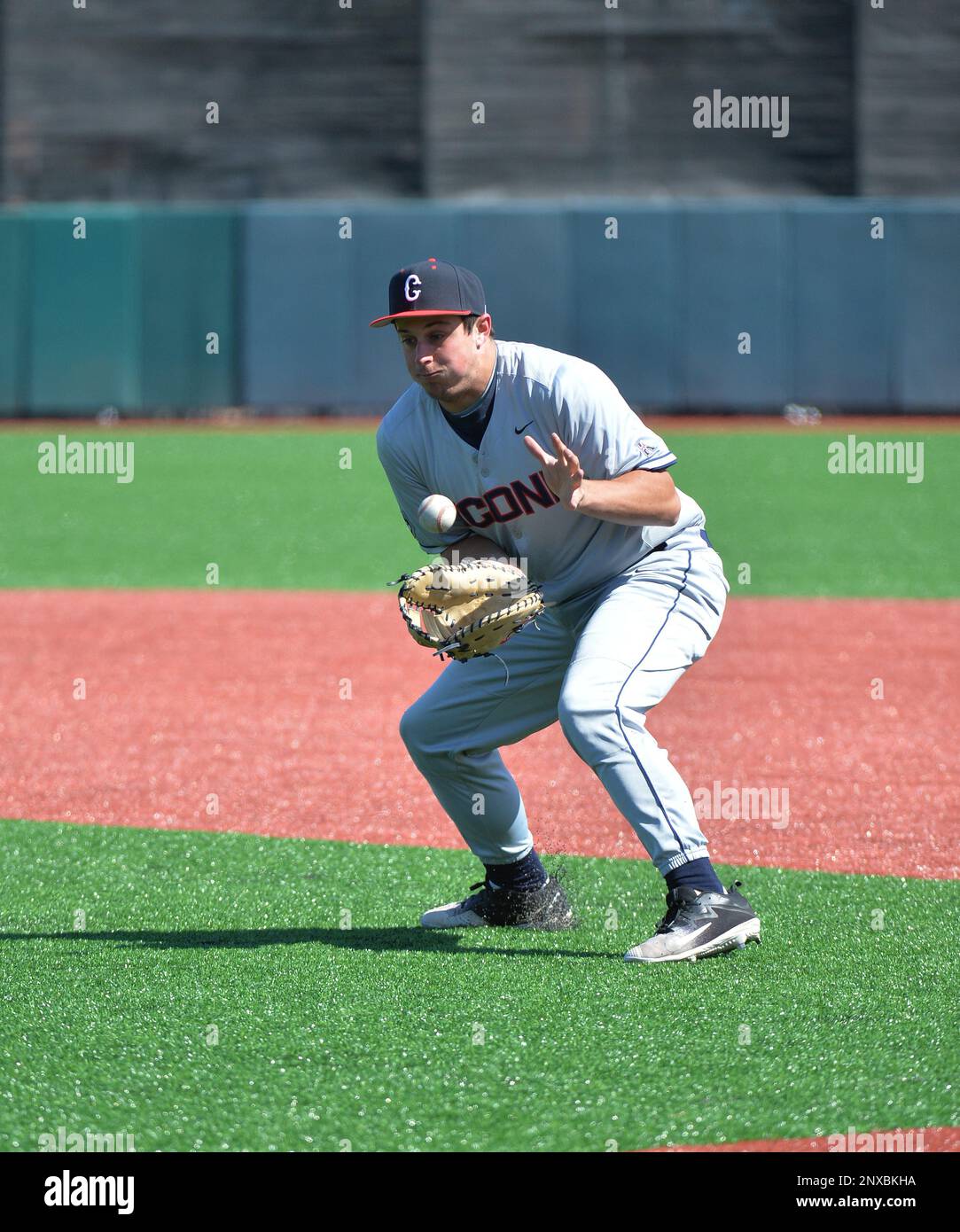 University of Connecticut Huskies infielder Vinnie Pallisco (31) during ...