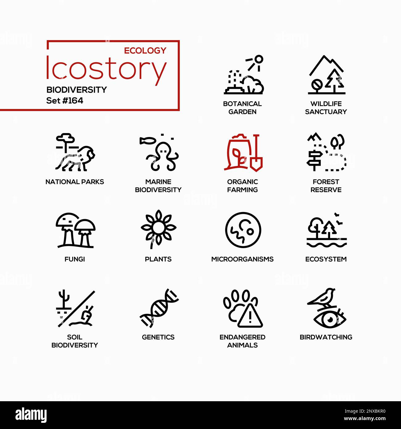 Biodiversity of flora and fauna - line design style icons set Stock ...