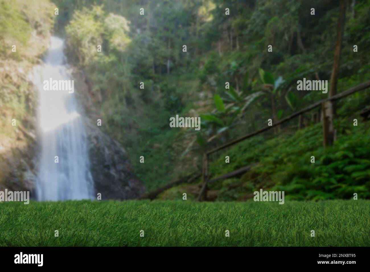 Grass table top podium in outdoor waterfall green tropical forest ...