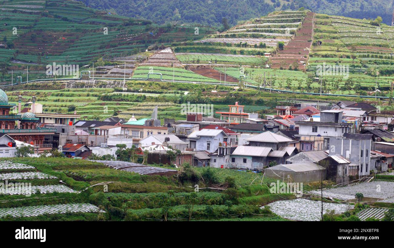 a village located in a valley on the Dieng plateau, Central Java ...