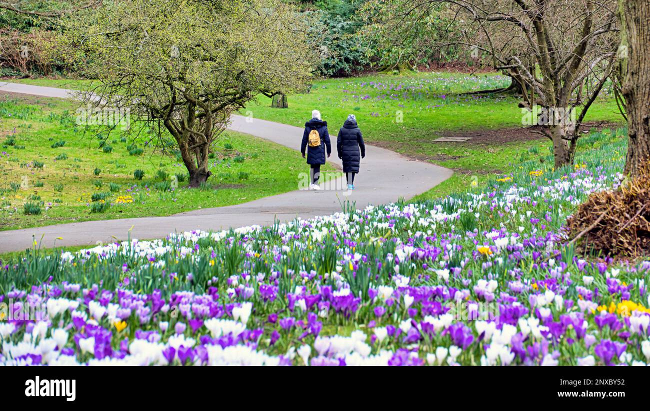 Glasgow botanic gardens 2023 hi-res stock photography and images - Alamy
