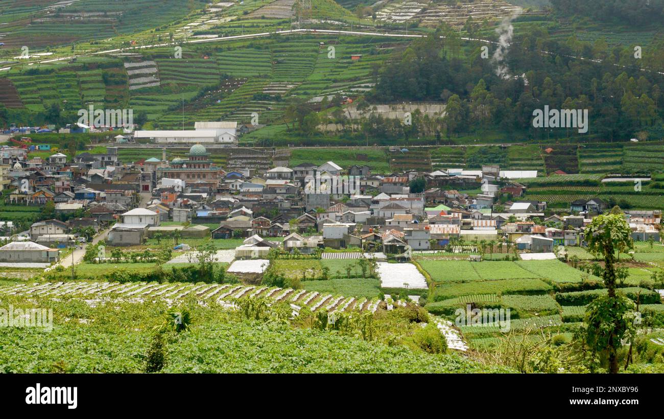 a village located in a valley on the Dieng plateau, Central Java ...