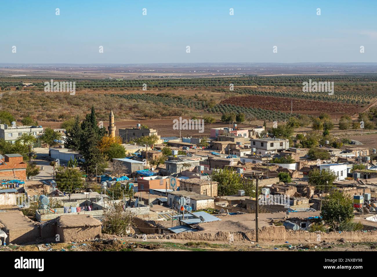 Agricultural lands in the rural part of Kilis, Turkey. Olive tree and ...