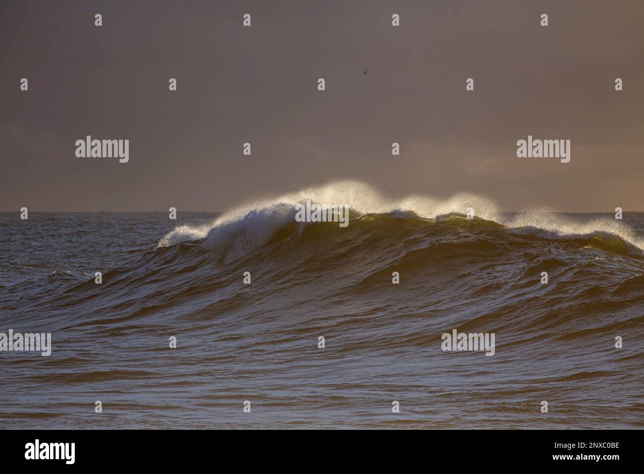 Wavebreak landscape hi-res stock photography and images - Alamy
