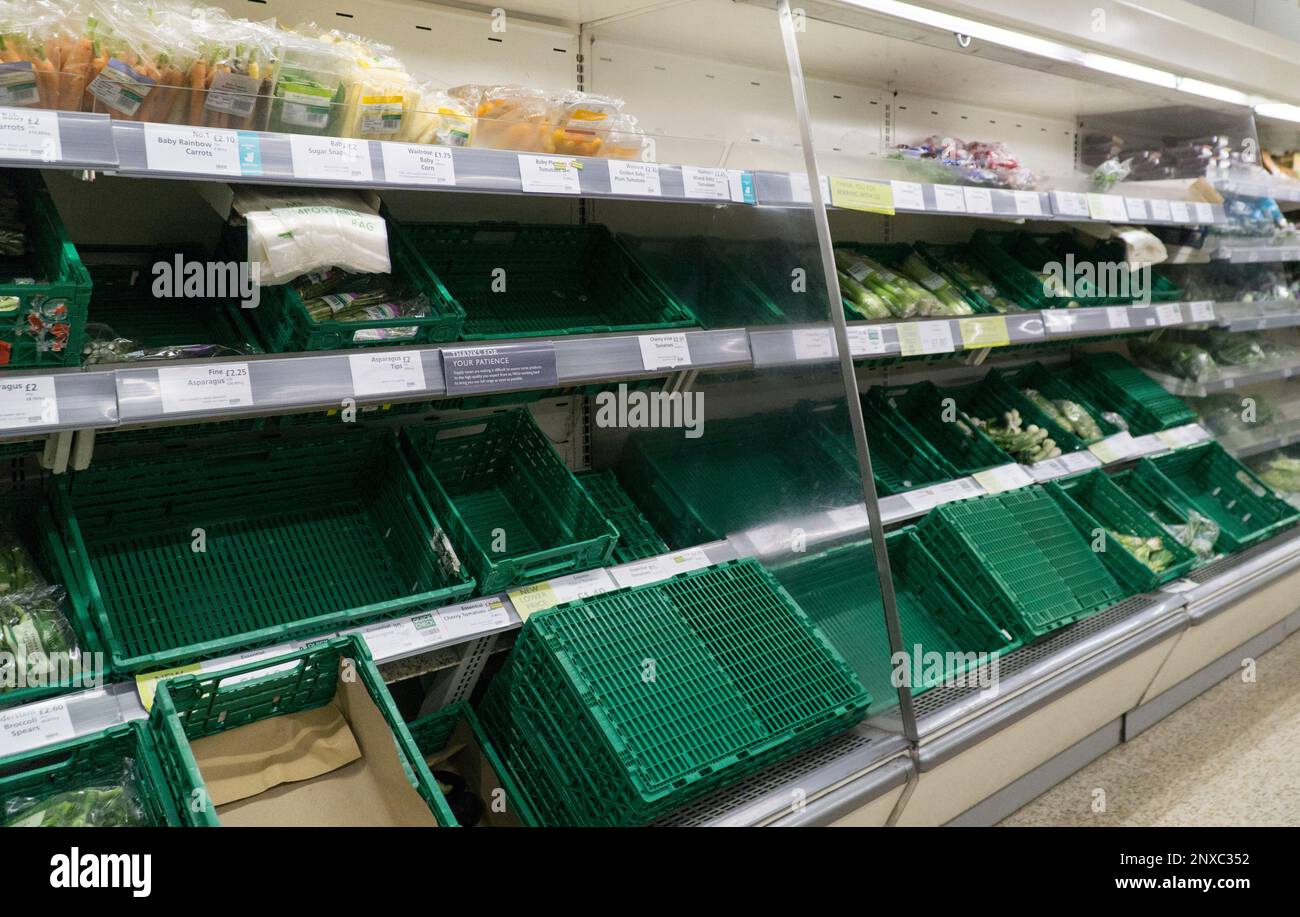 Lettuce supermarket empty shelves hi-res stock photography and images ...