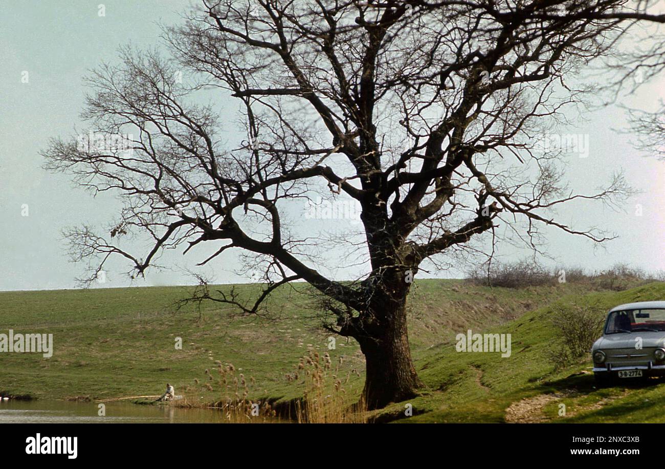 Romania, cca 1976. Man fishing by a pond in the country Stock Photo - Alamy