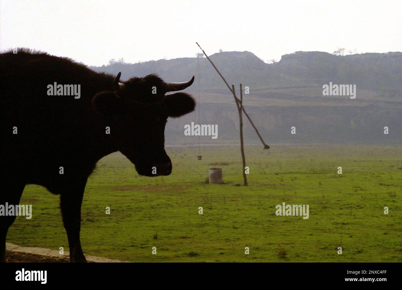 Fantana cu ciutura hi-res stock photography and images - Alamy