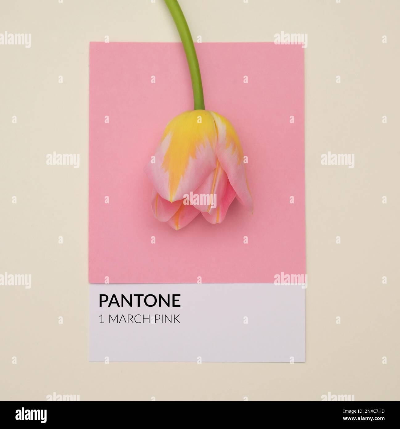 Pantone 1 hi-res stock photography and images - Alamy