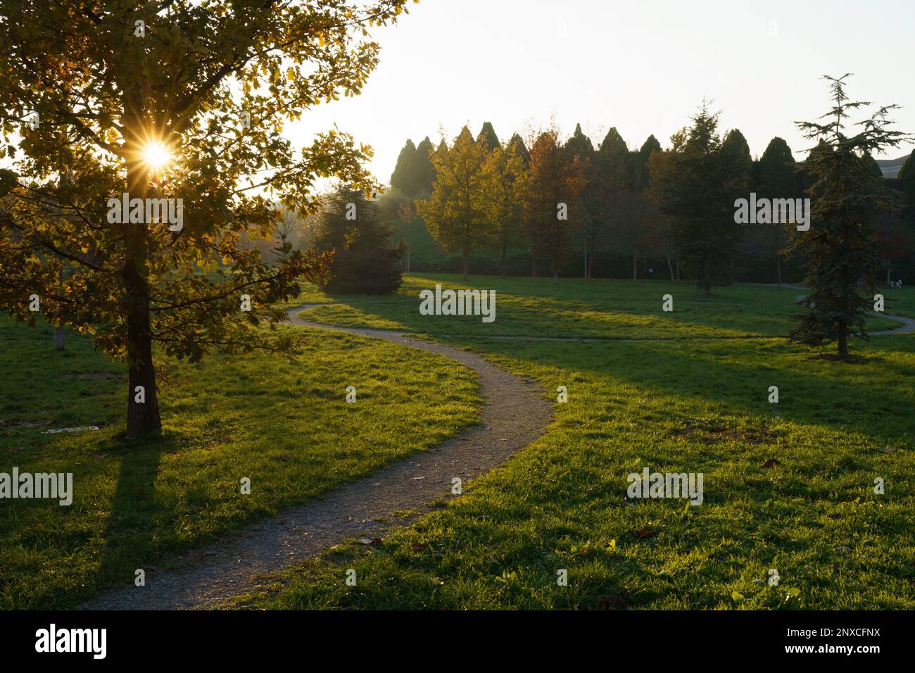 Modern Portello Park in Milan, Lombardy, Italy Stock Photo - Alamy