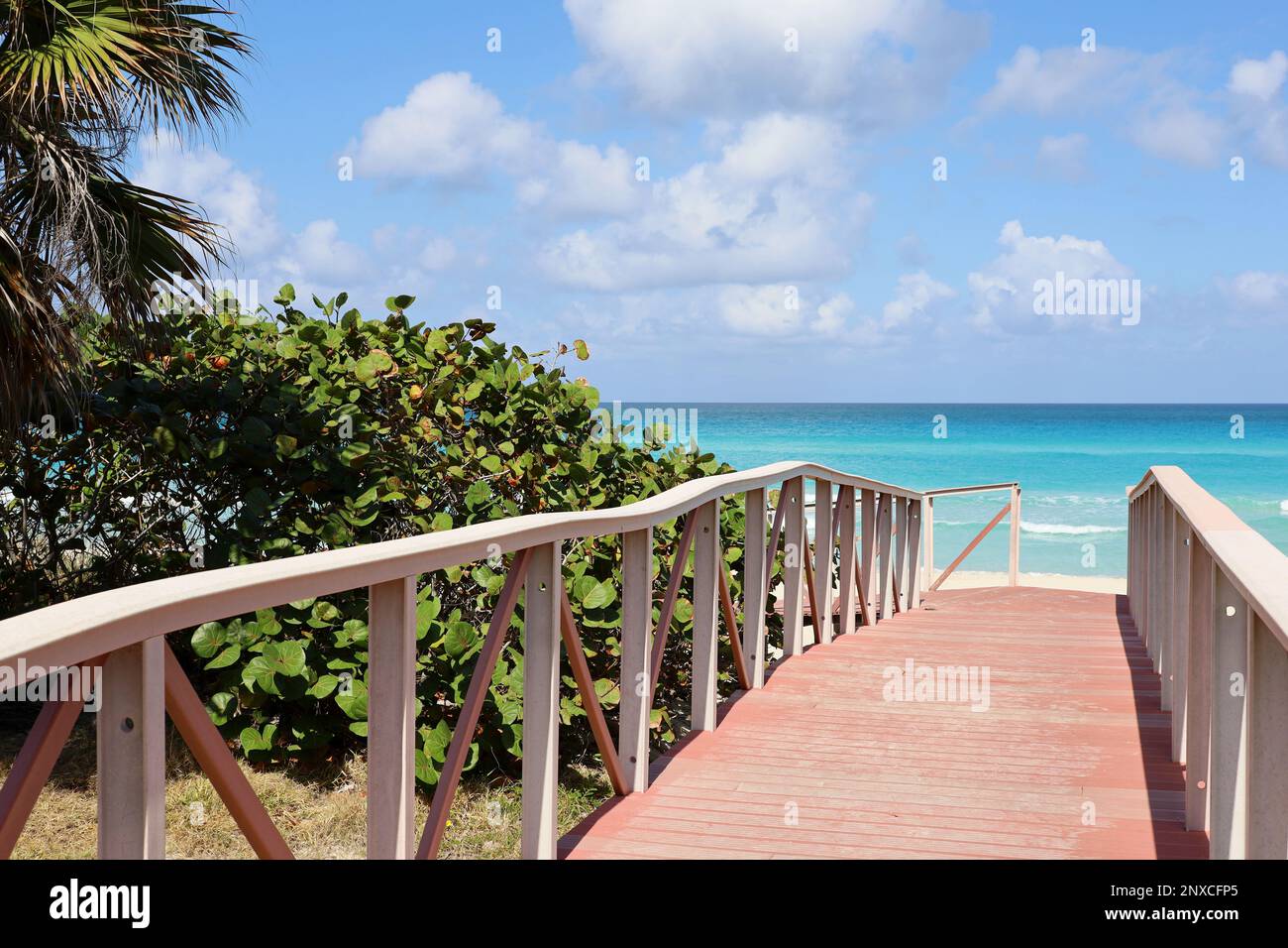 Picturesque view to tropical beach with white sand and palm tree ...