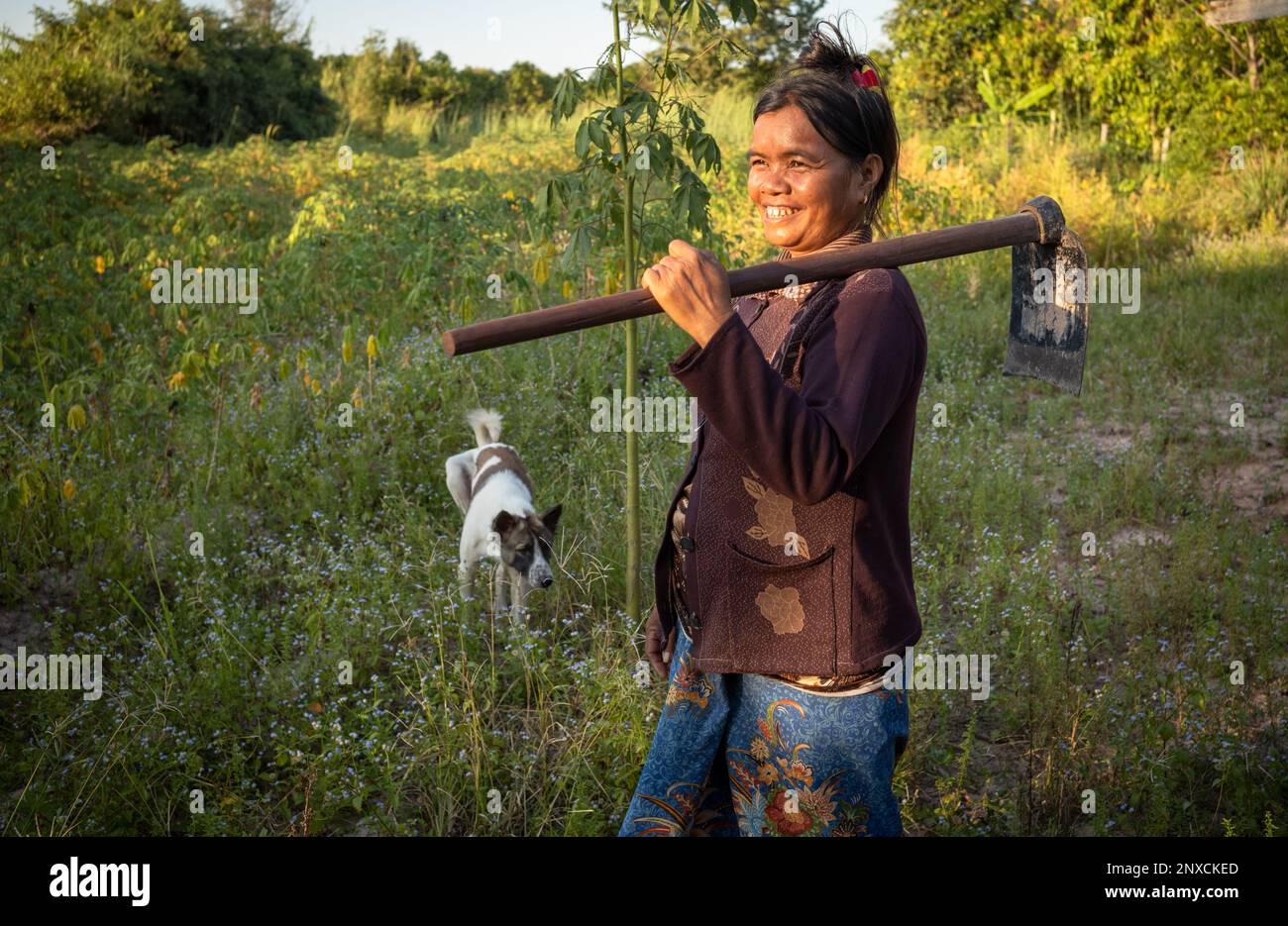 A woman in a rural village in Siem Reap province, Cambodia, walks home ...