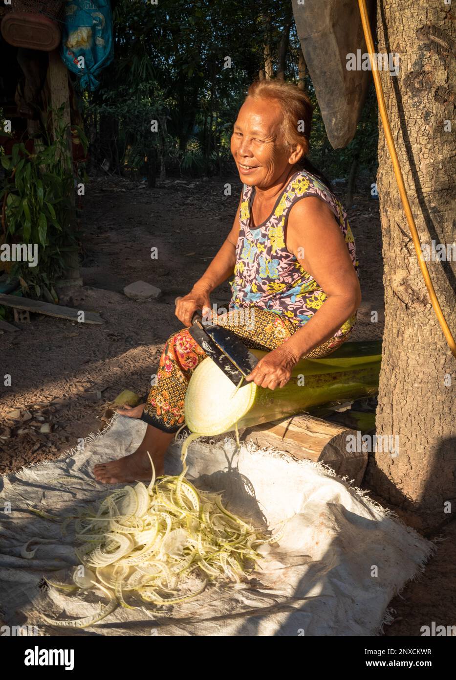An elderly woman in a rural village in Siem Reap province, Cambodia ...