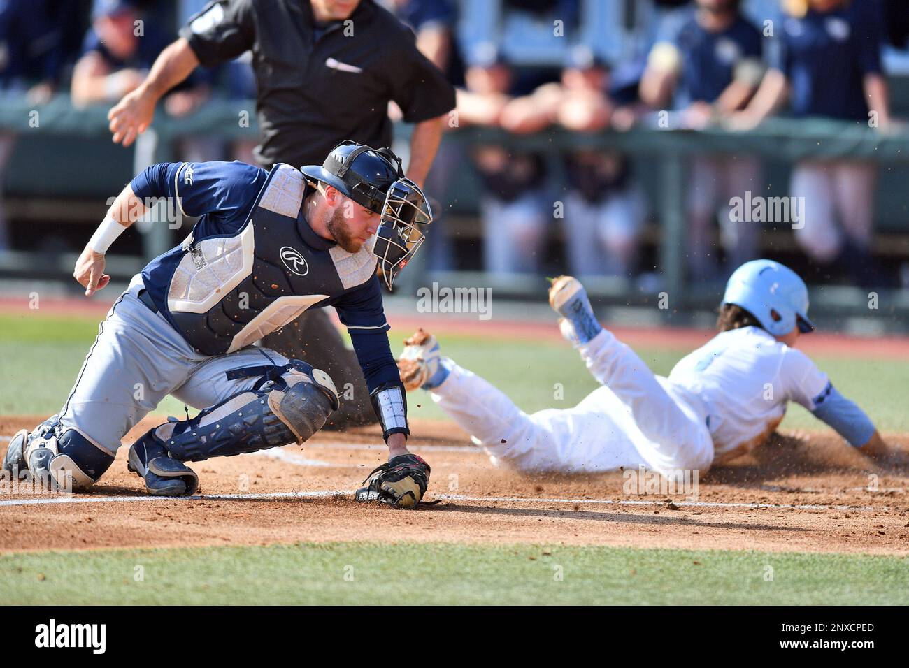 Pittsburgh Panthers catcher Cole MacLaren (43) fields the ball as Kyle Datres (3) slides in ...
