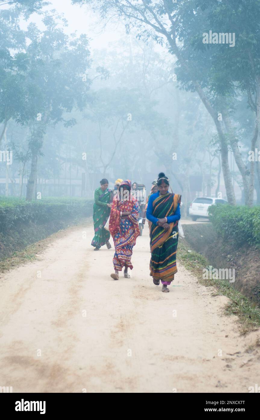 Cha bagan hi-res stock photography and images - Alamy