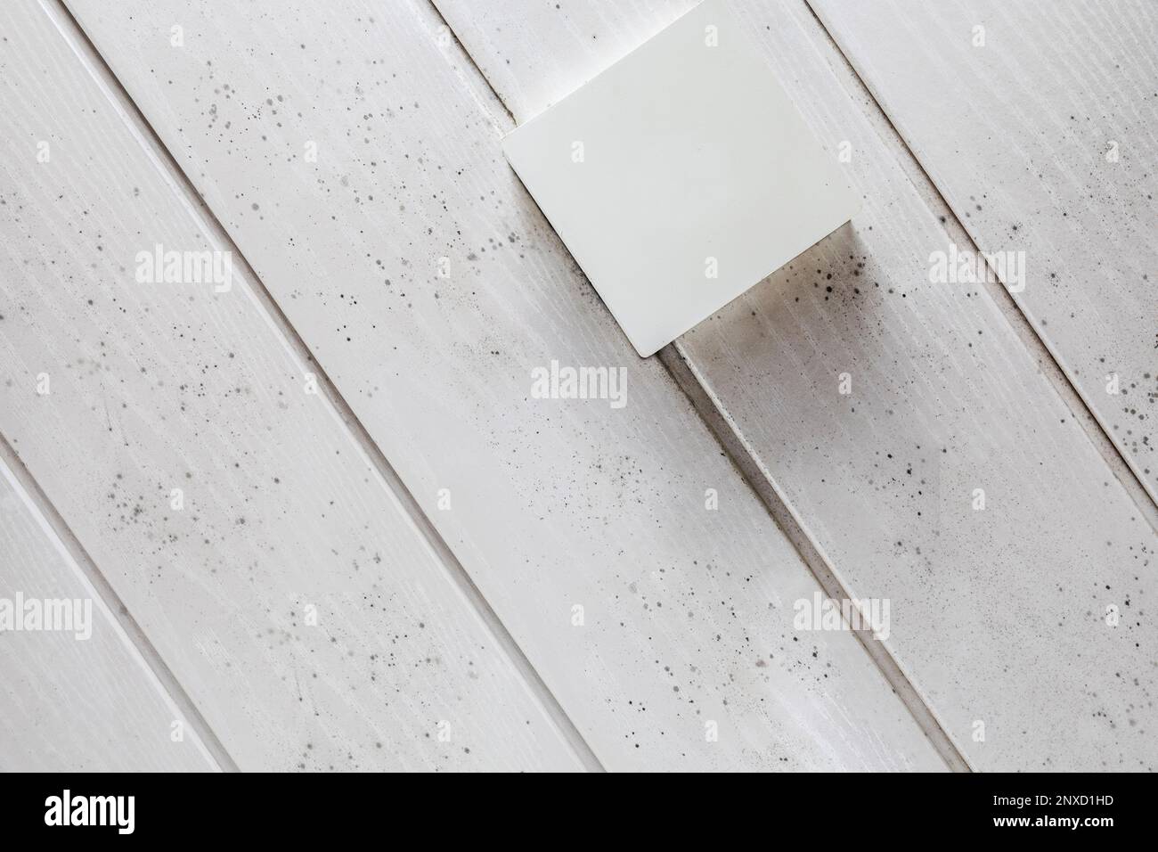 Start of mold build-up on bathroom ceiling, still with simple cleaning ...