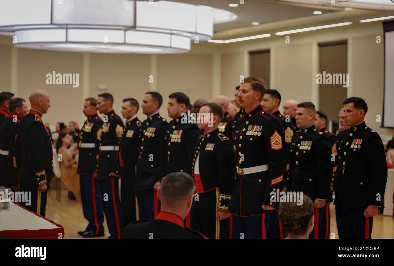 U.S. Marines with 10th Marine Regiment, 2d Marine Division, stand at ...