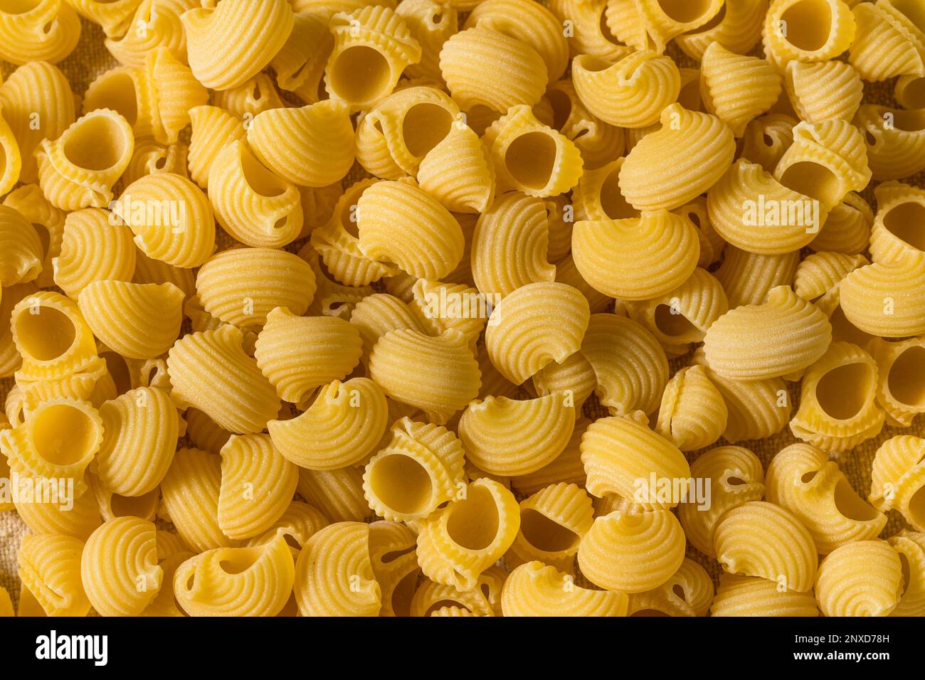 Dry lumache medie pasta hi-res stock photography and images - Alamy