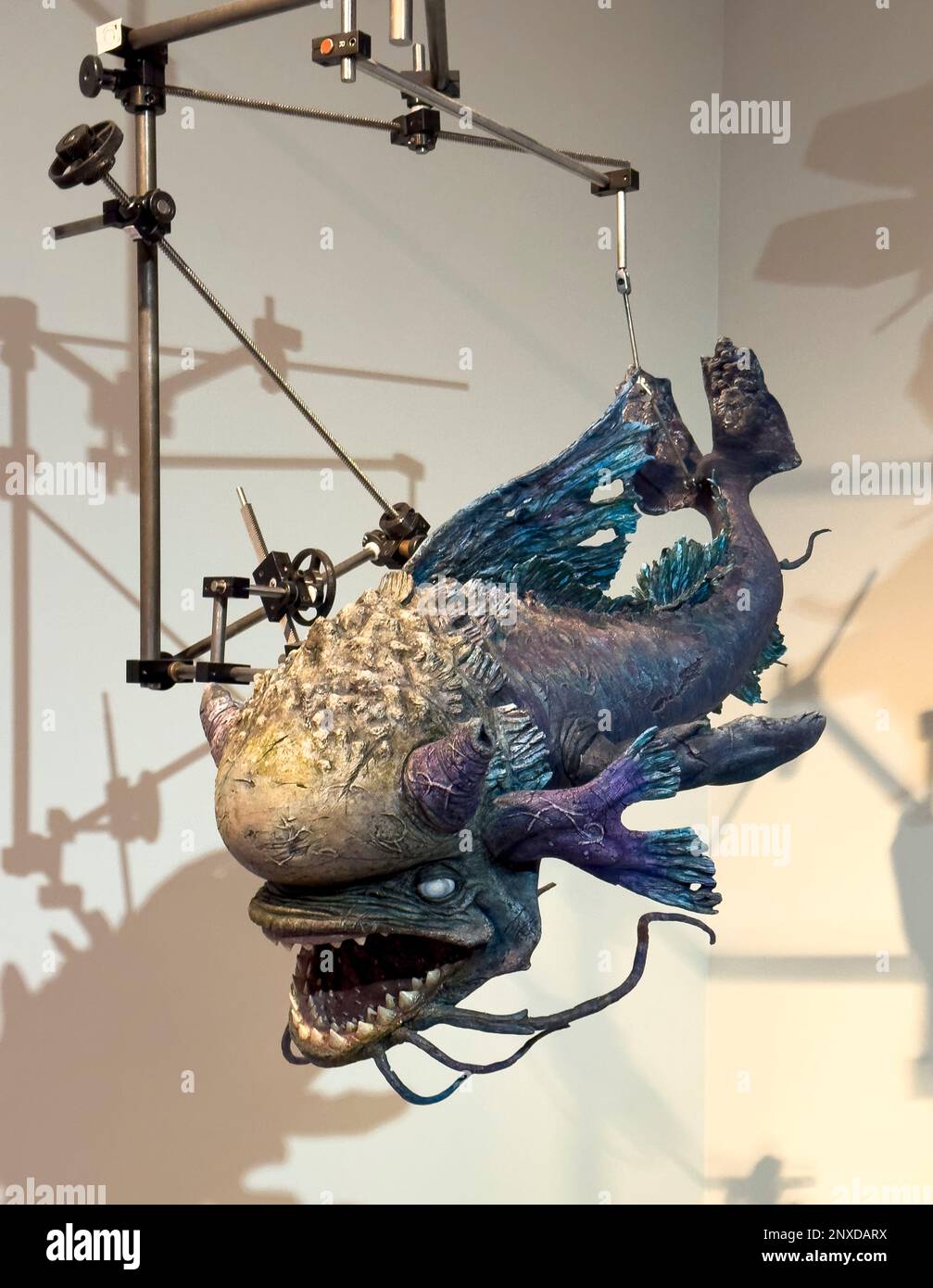 Count volpe hi-res stock photography and images - Alamy