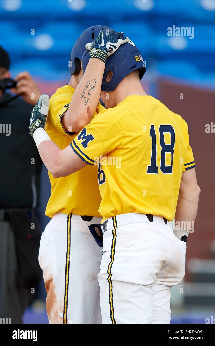 Michigan Wolverines designated hitter Dominic Clementi (13) talks with ...