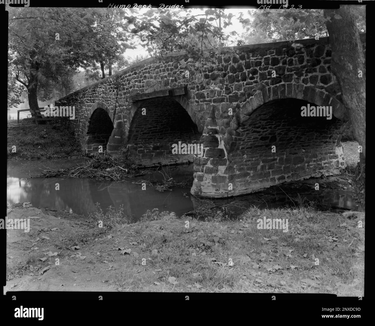 Back hump Black and White Stock Photos & Images - Alamy