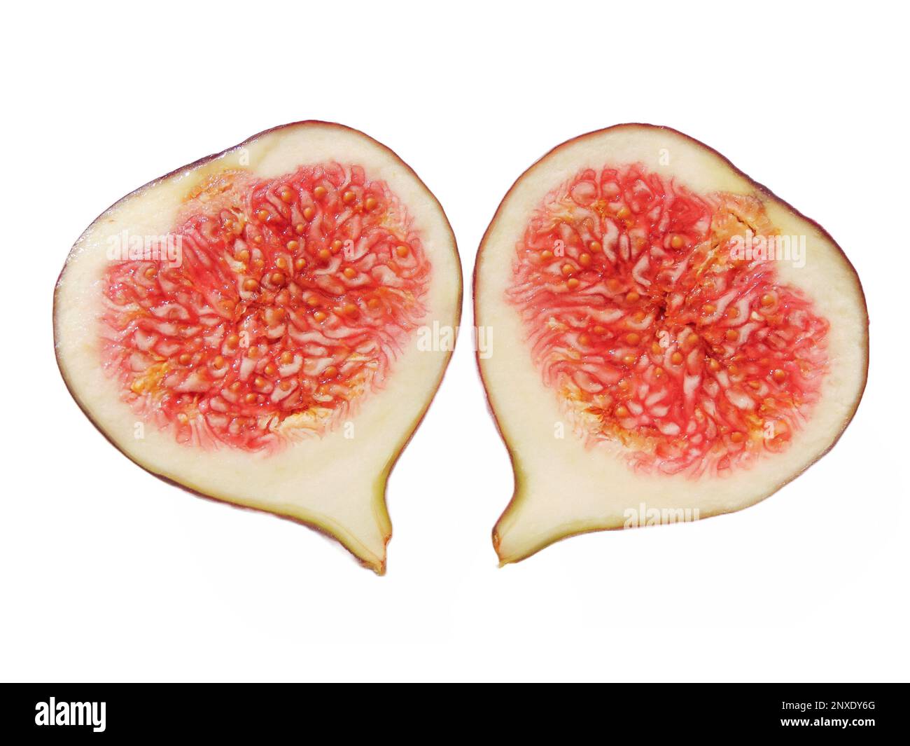 two halves of a fig. Figs isolated on white Stock Photo - Alamy
