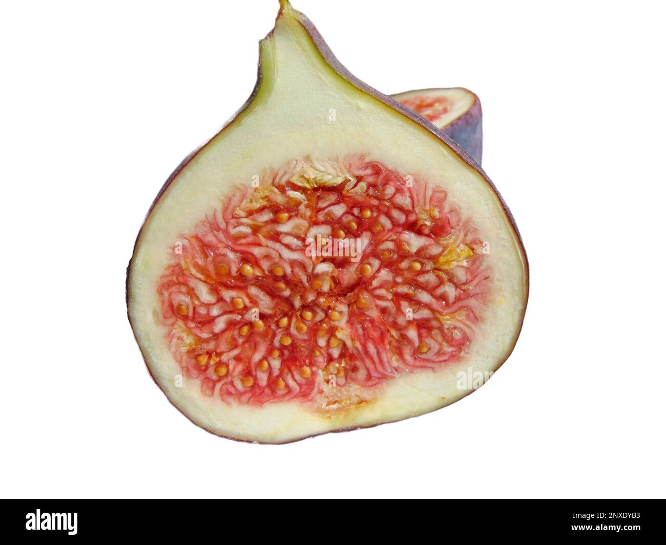 Half of a fresh fig. Fig isolated on white Stock Photo - Alamy