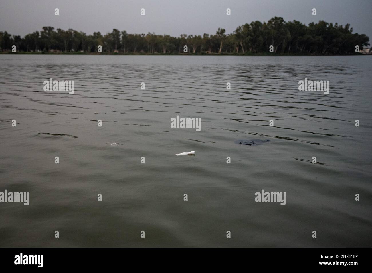 Nicolas Remene / Le Pictorium - Fishing and suffocation of the Niger ...