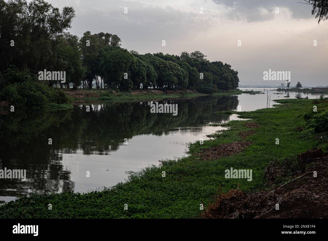 Nicolas Remene / Le Pictorium - Fishing and suffocation of the Niger ...