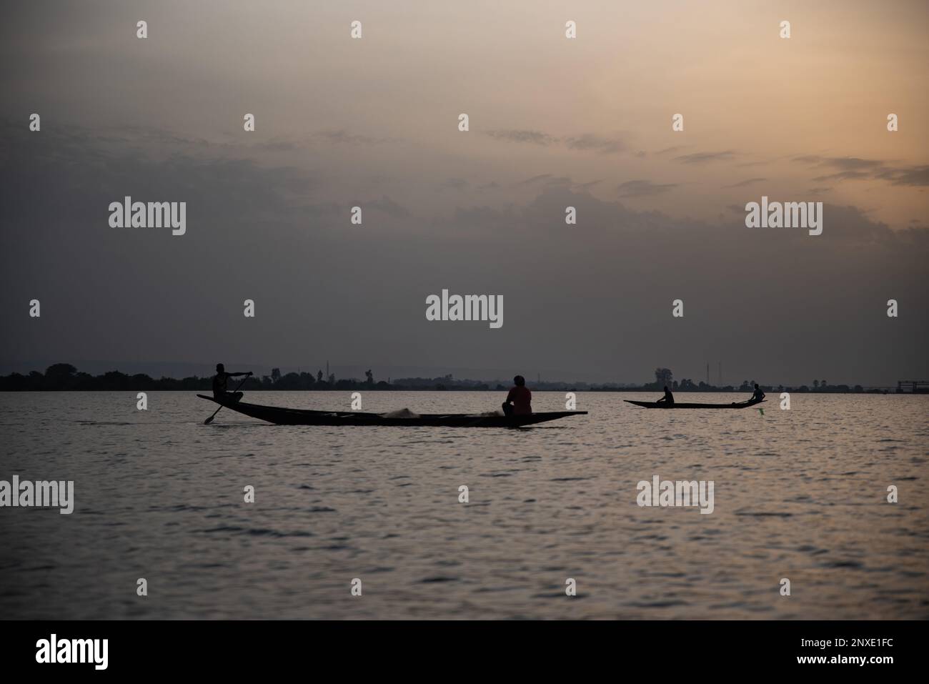 Nicolas Remene / Le Pictorium - Fishing and suffocation of the Niger ...