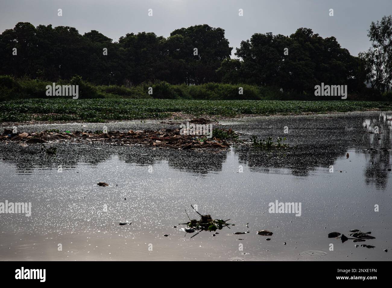 Nicolas Remene / Le Pictorium - Fishing and suffocation of the Niger ...